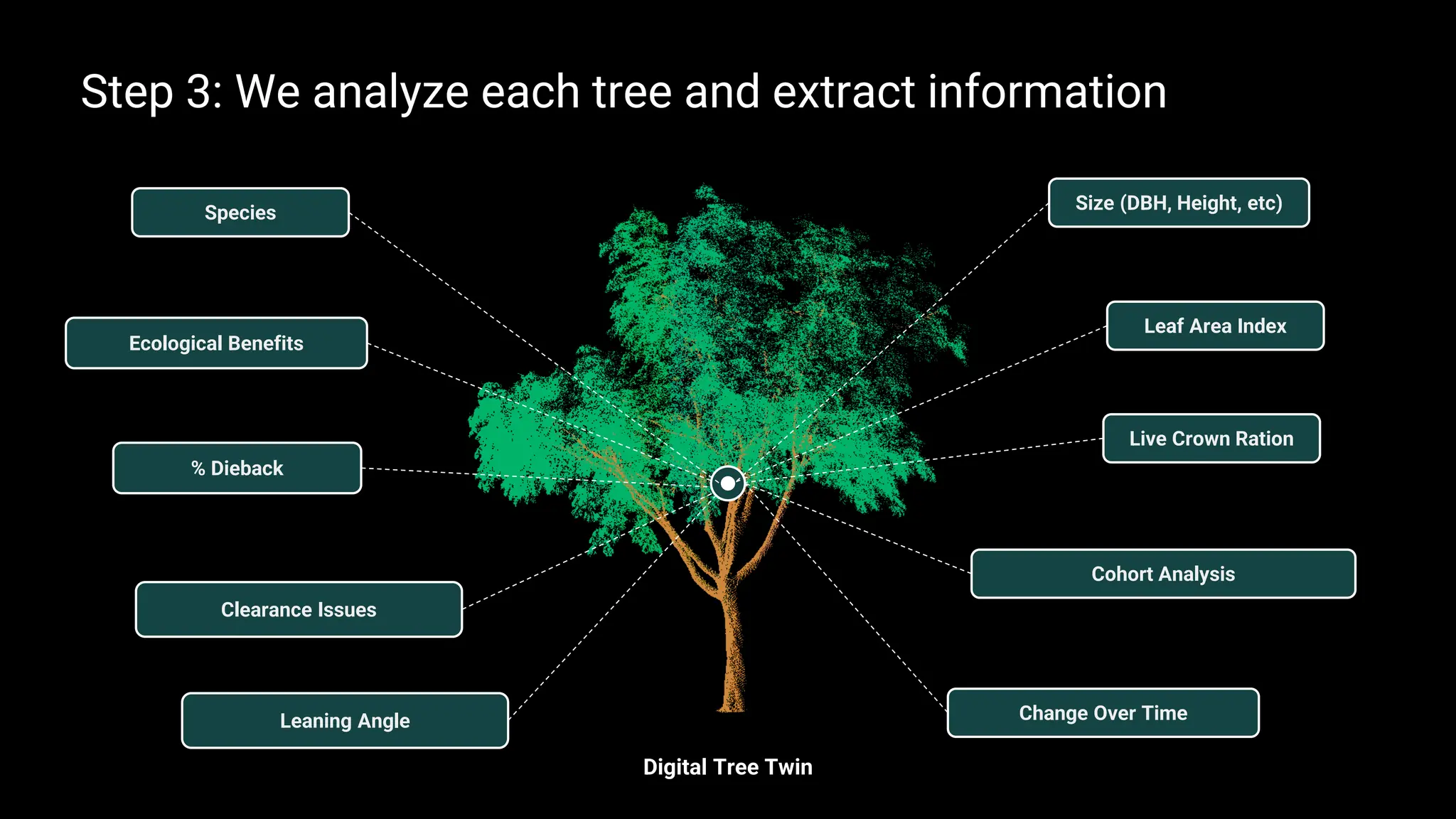 AI & ML in Urban Forestry New England ISA | PPT