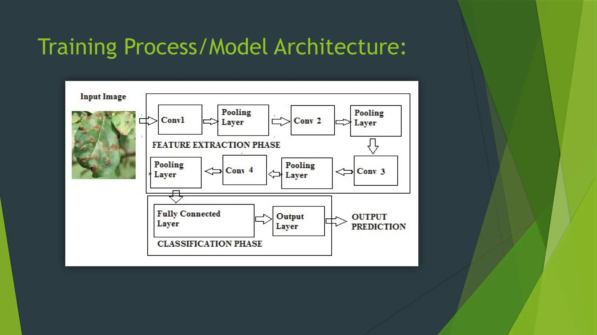 AI_ML_WORKSHOP_plant_disease_detection.pptx
