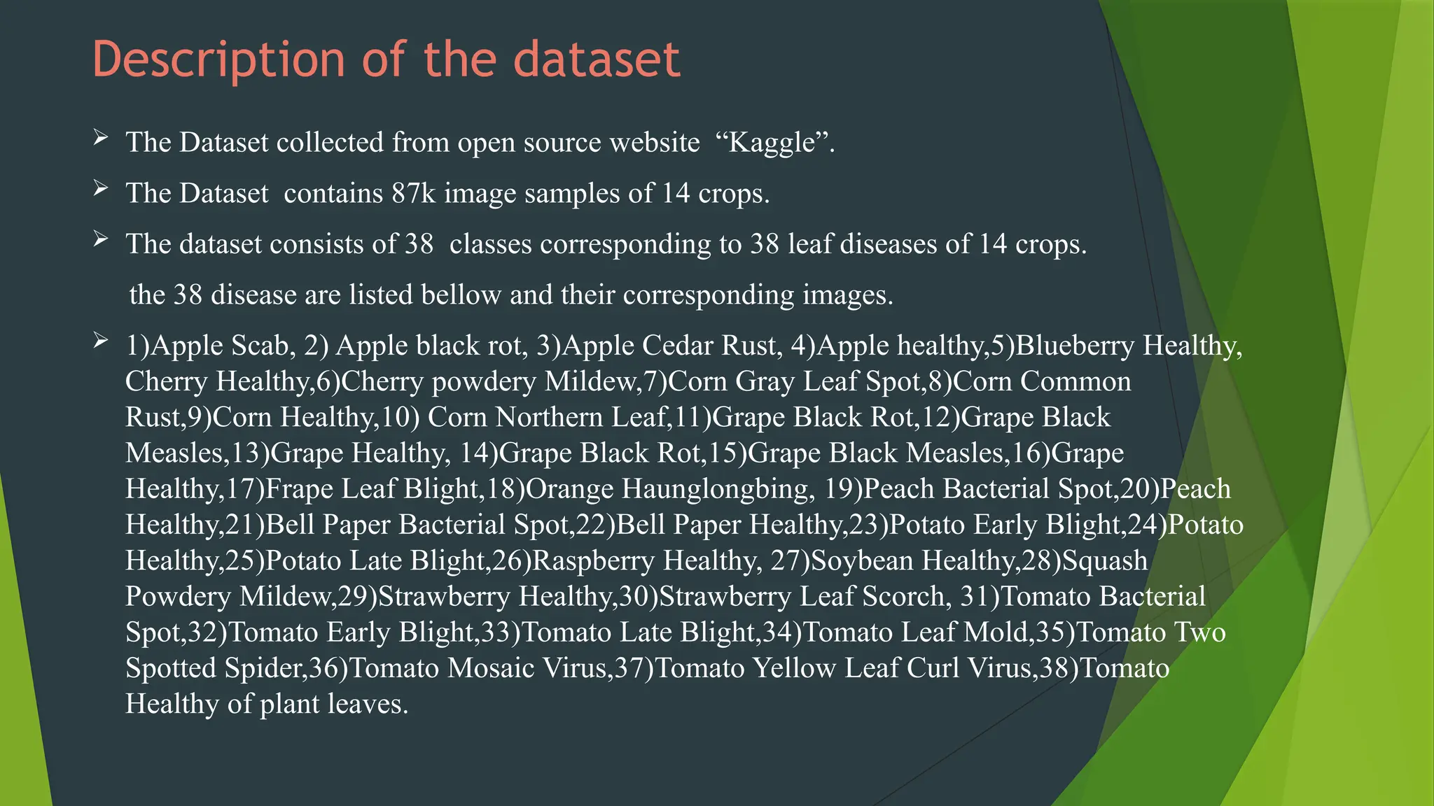 AI_ML_WORKSHOP_plant_disease_detection.pptx