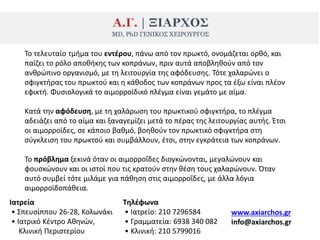Αιμοροιδες & Θεραπεία: Όσα πρέπει να γνωρίζετε για τις αιμοροιδες | PDF