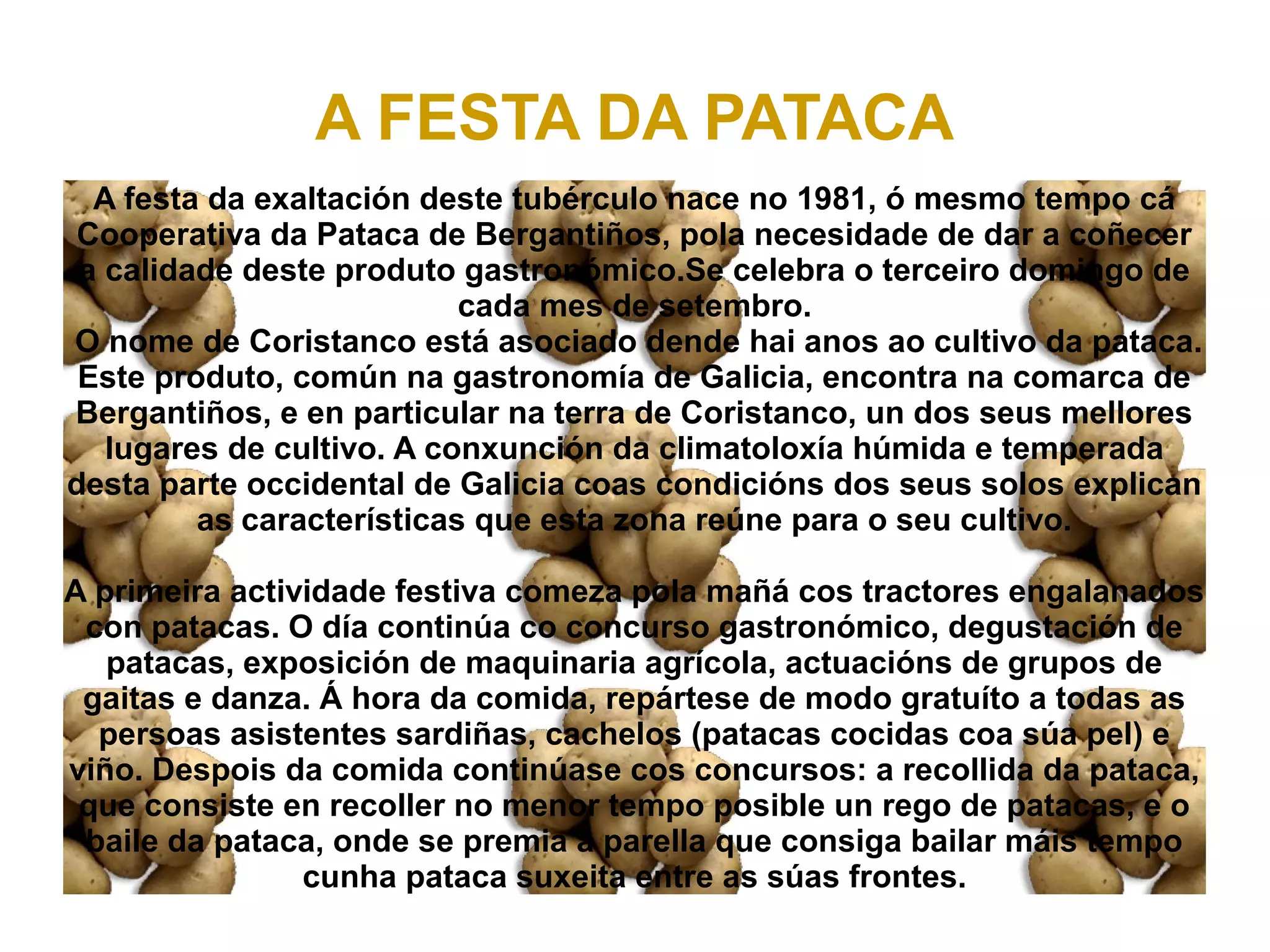 A importancia da pataca | ODP
