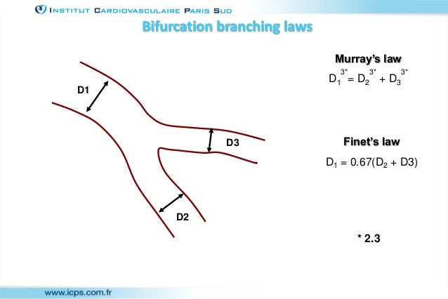 Louvard Y - AIMRADIAL 2014 Technical - Bifurcation and radial approach