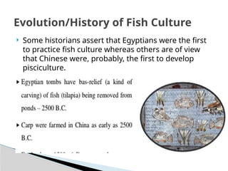 Aims and evolution of Fish Culture (Fisheries).pptx