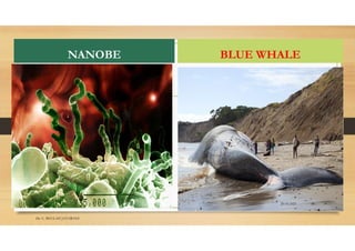 Aims & objectives of teaching biological science | PDF