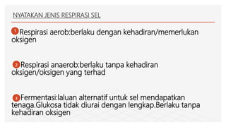 RESPIRASI SEL | PPTX