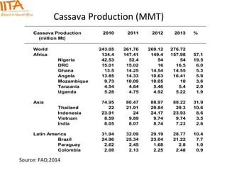 Cassava Morphological Characteristics and trait evaluation at different ...