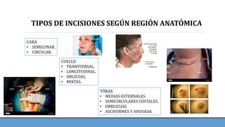 Incisiones Quirúrgicas De 5to Semestre Enfermeria Pptx