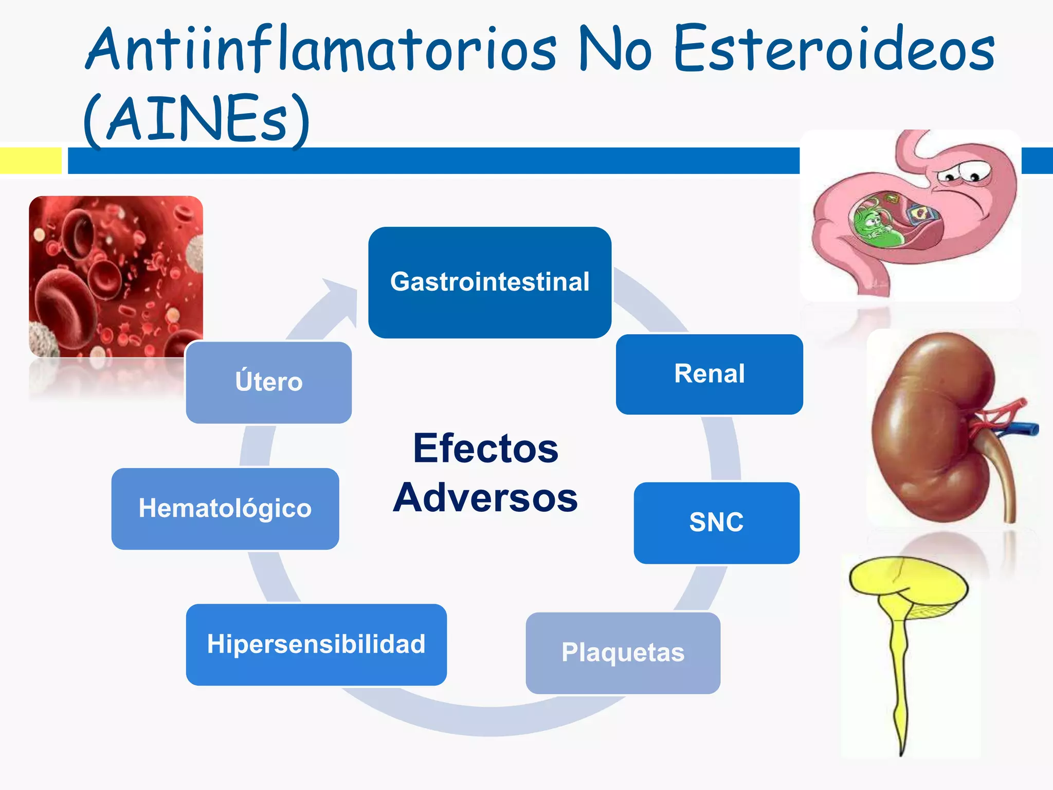 Fármacos Antiinflamatorios no esteroideos (AINE) | PPTX