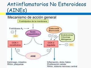 Fármacos Antiinflamatorios no esteroideos (AINE) | PPT