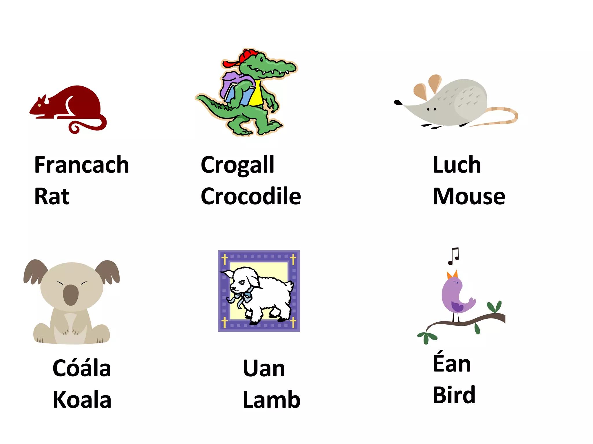 Ainmhithe - Animals | PPT