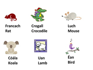 Ainmhithe - Animals | PPT