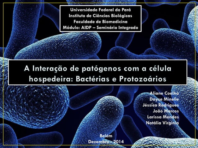 A interação de patógenos com a célula hospedeira: bactérias e ...