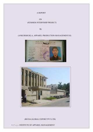 A internship repor tof richa global | DOC