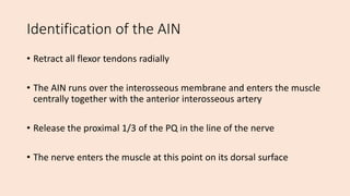 Ain to deep branch of ulnar | PPTX
