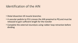 Ain to deep branch of ulnar | PPT