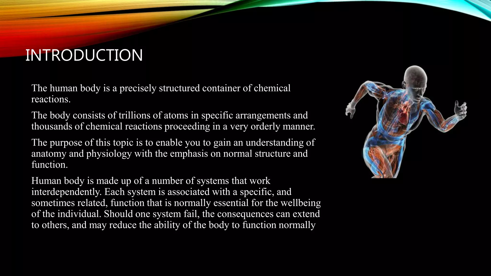 A)introduction to human body | PPT | Free Download