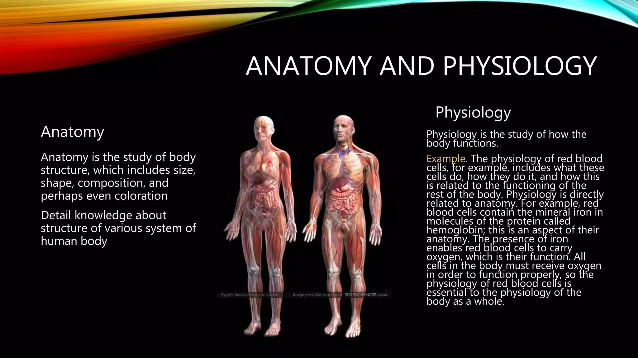 A)introduction to human body | PPTX