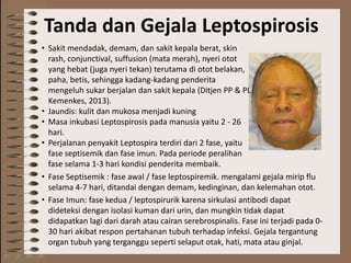 Leptospirosis | PPTX