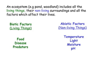 (A) Investigating An Ecosystem | PPT