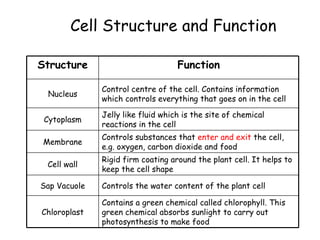 (A) Investigating Cells | PPT