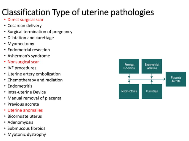 Abnormal Invasive Placenta | PPTX | Pregnancy | Reproductive Health