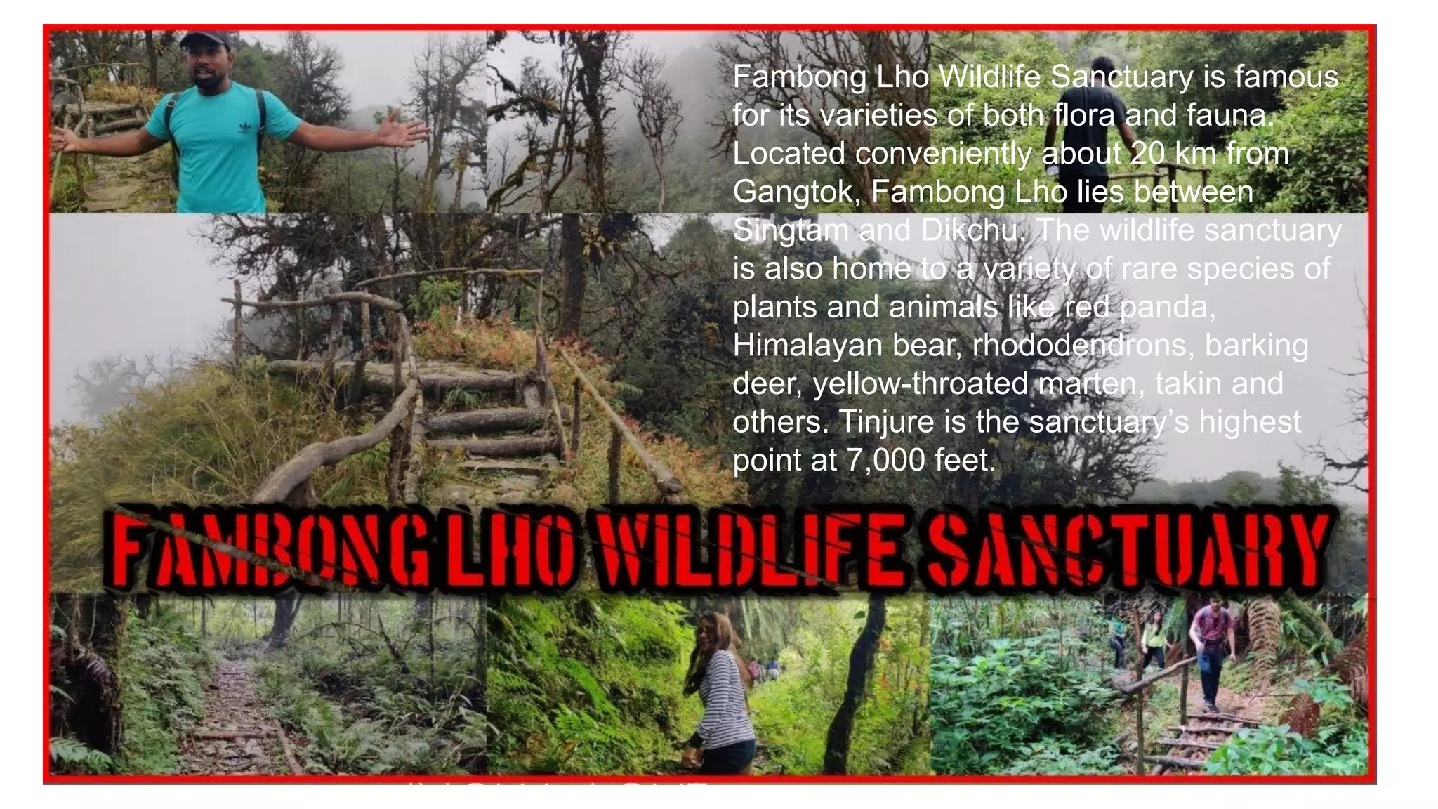 SIKKIM SCIENCE PROJECT | PDF