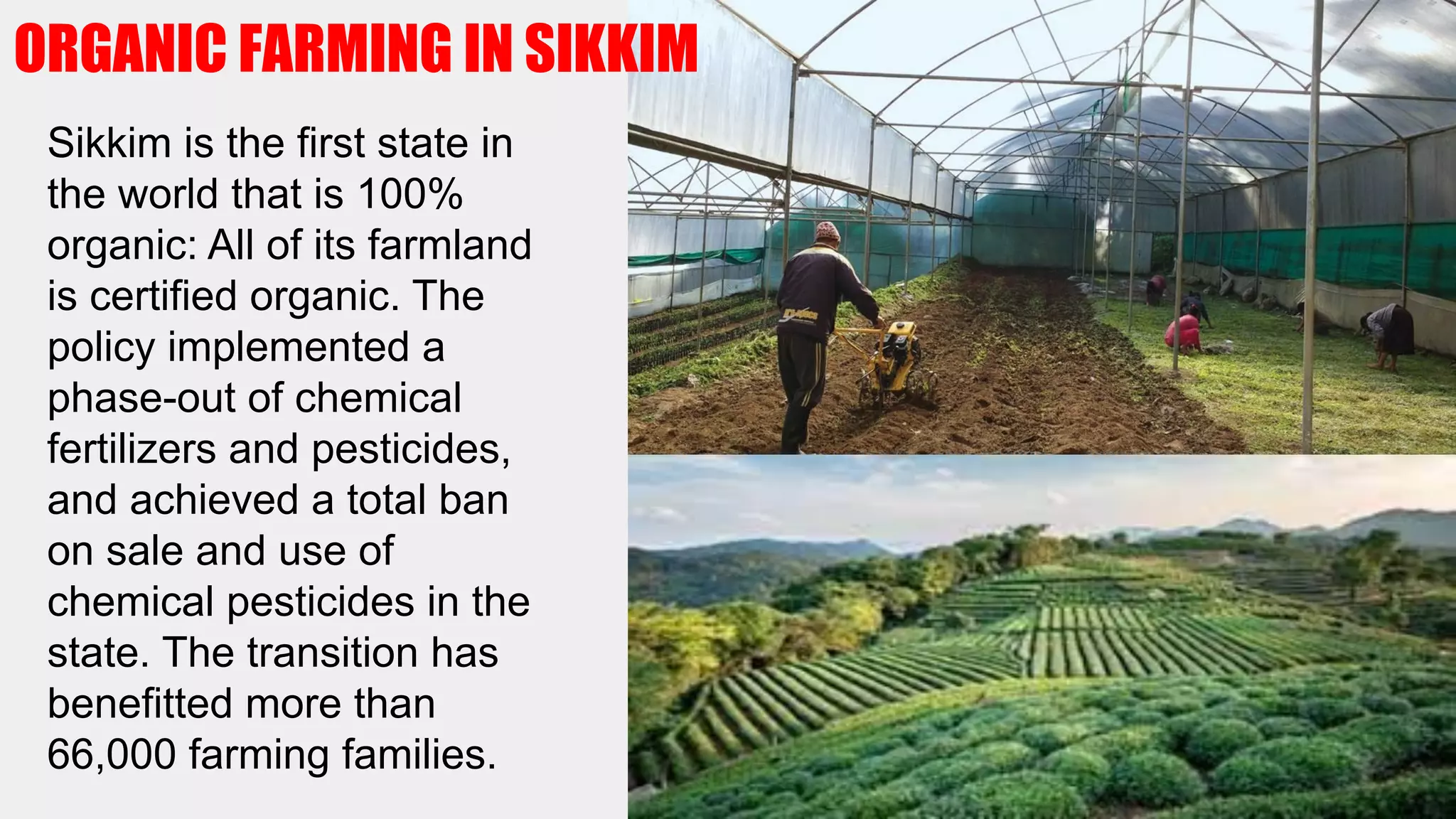 SIKKIM SCIENCE PROJECT | PDF