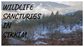 SIKKIM SCIENCE PROJECT | PDF