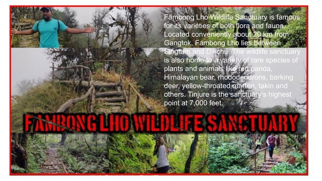 SIKKIM SCIENCE PROJECT | PDF | Birdwatching | Hobbies & Interests