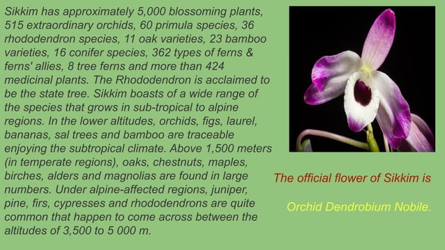 SIKKIM SCIENCE PROJECT | PDF | Birdwatching | Hobbies & Interests