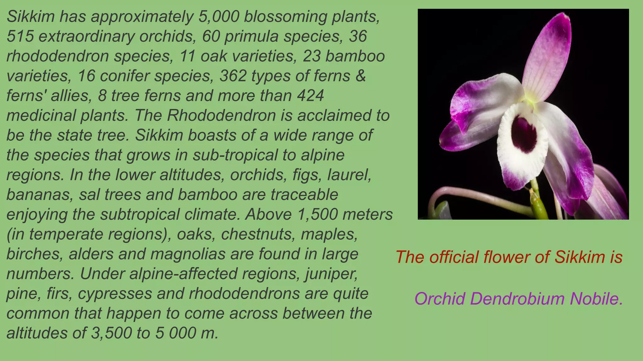 SIKKIM BROCHURE | PDF