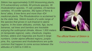 SIKKIM BROCHURE | PDF