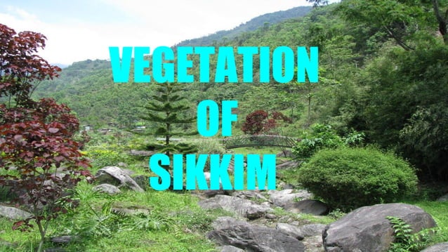 SIKKIM BROCHURE | PDF