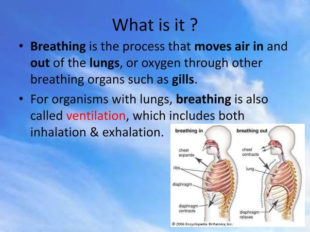Air and Breathing [OCCUPATIONAL SAFETY AND HEALTH (OSHA)] | PPT