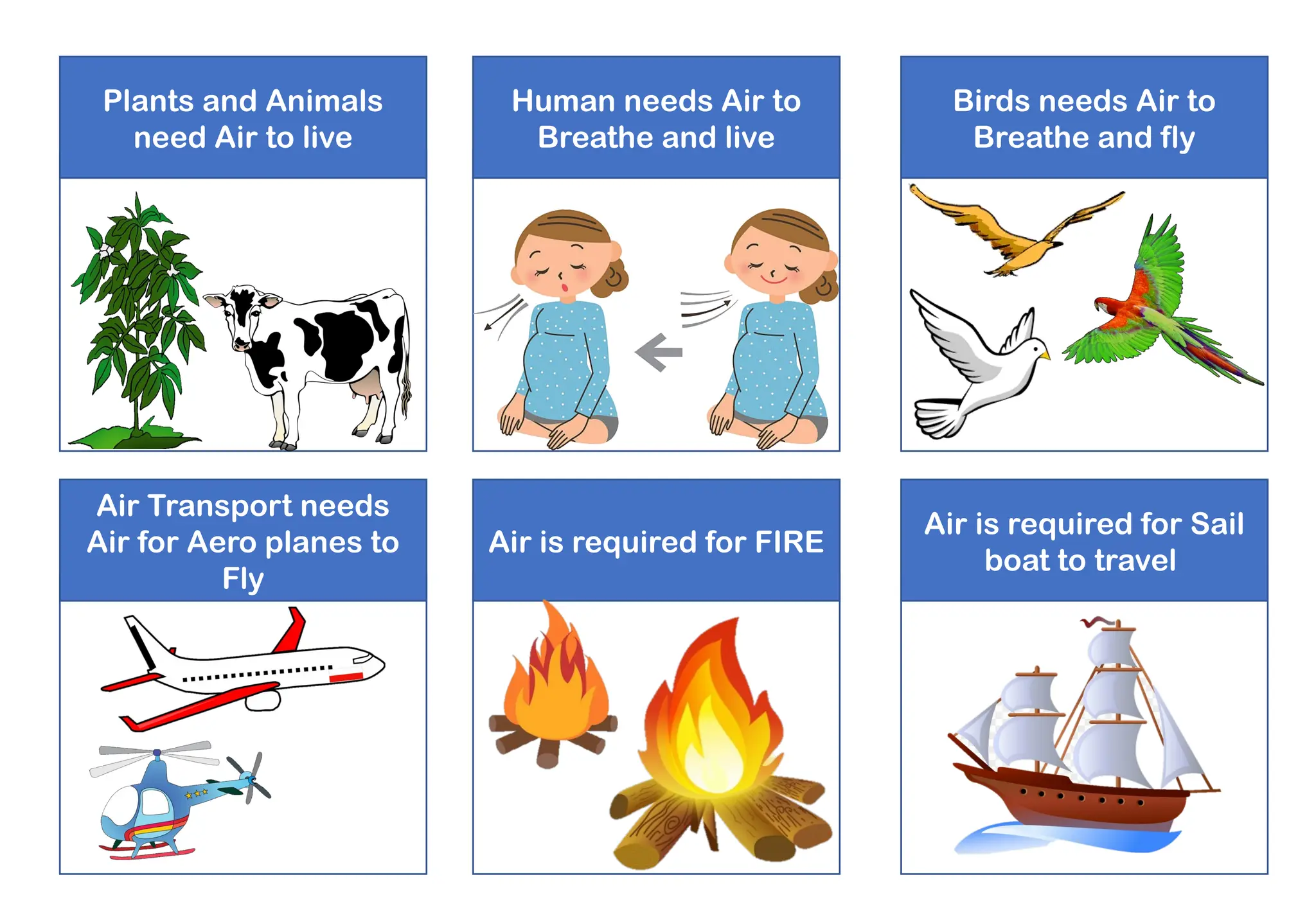 Air-why is it important-Year 2 slide.pptx