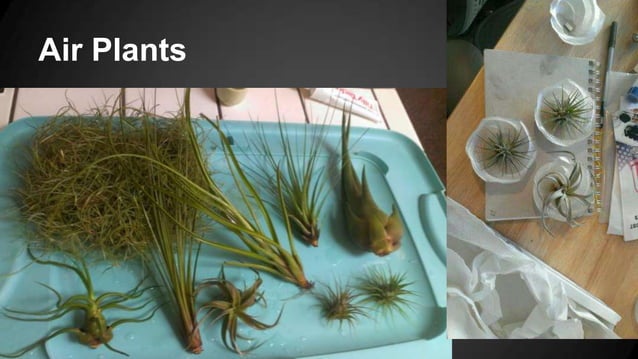 Autodesk / Instructables AiR05 by Timothy Lipton, presented 12-10-13 | PPT