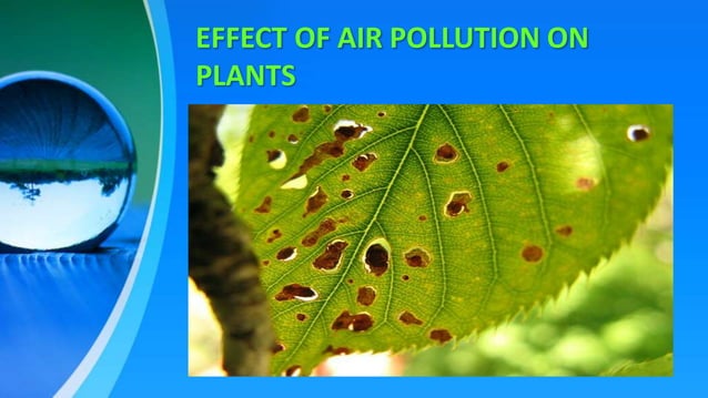 Air pollution and its control through biotechnology | PPTX | Indoor ...