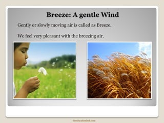 2nd Standard: Air and Water (Environmental Science, EVS) | PDF