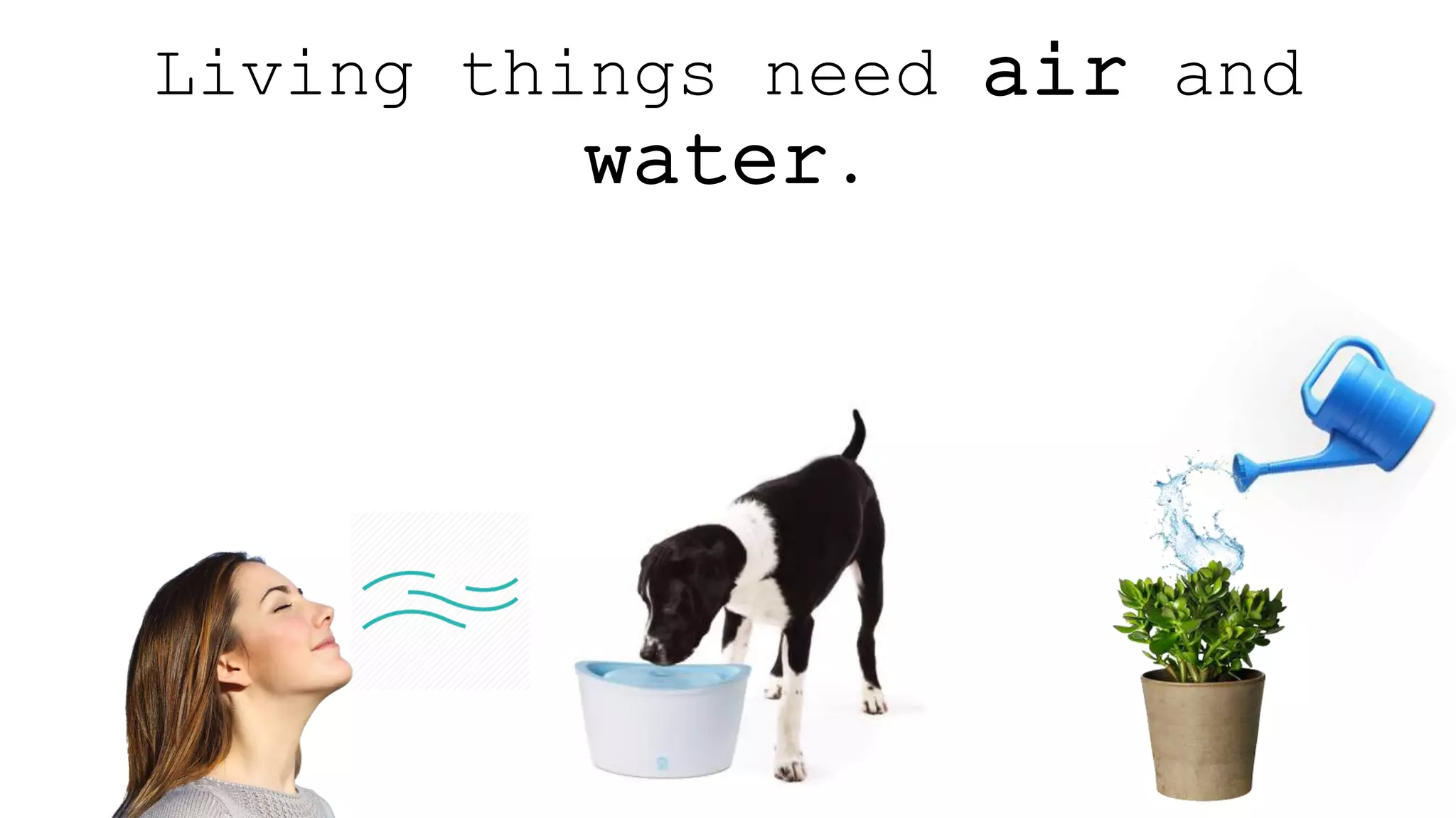 Air and water | PPTX