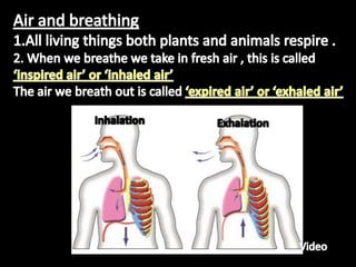 Air around us | PPTX