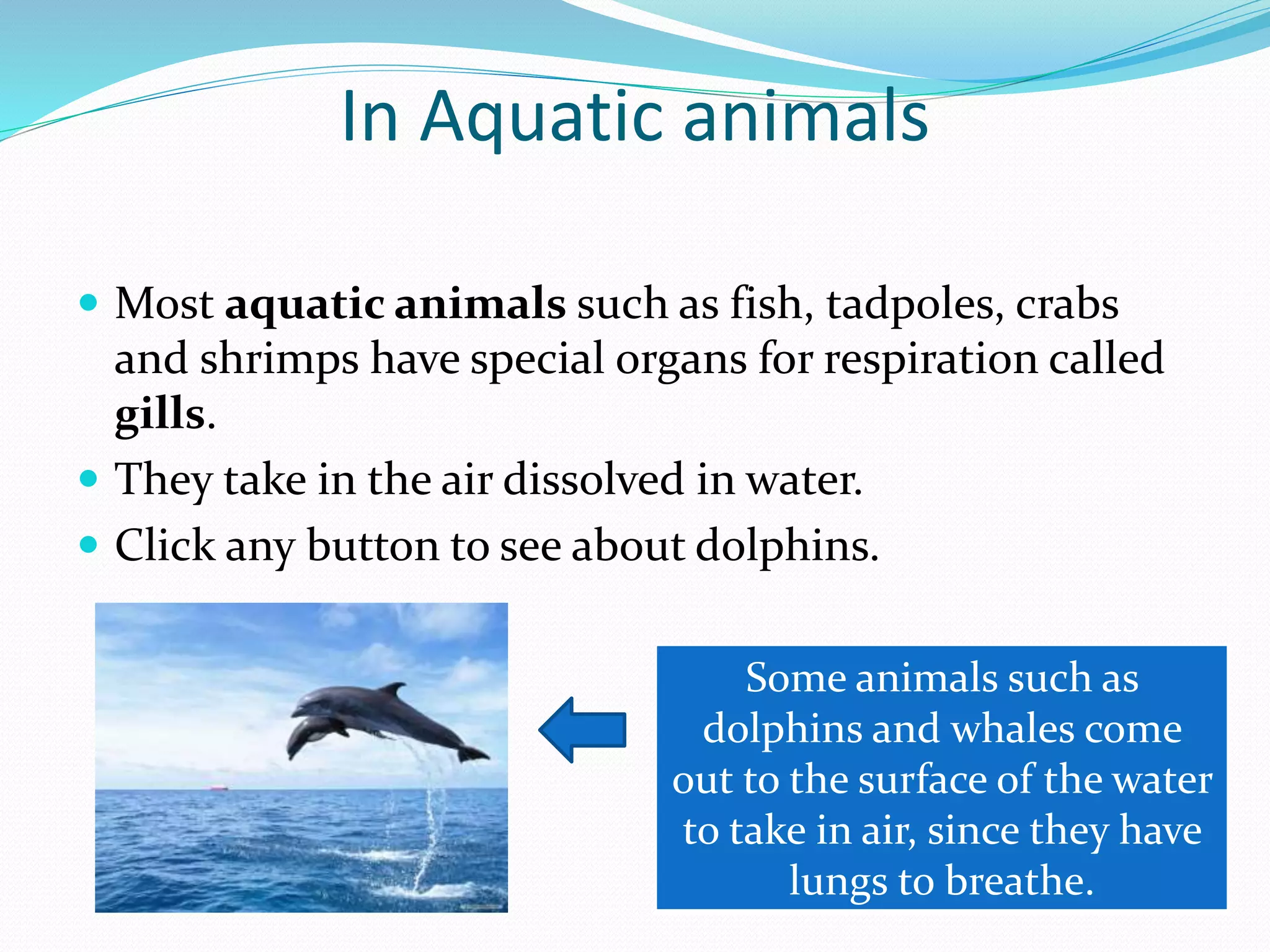 Air around us | PPTX