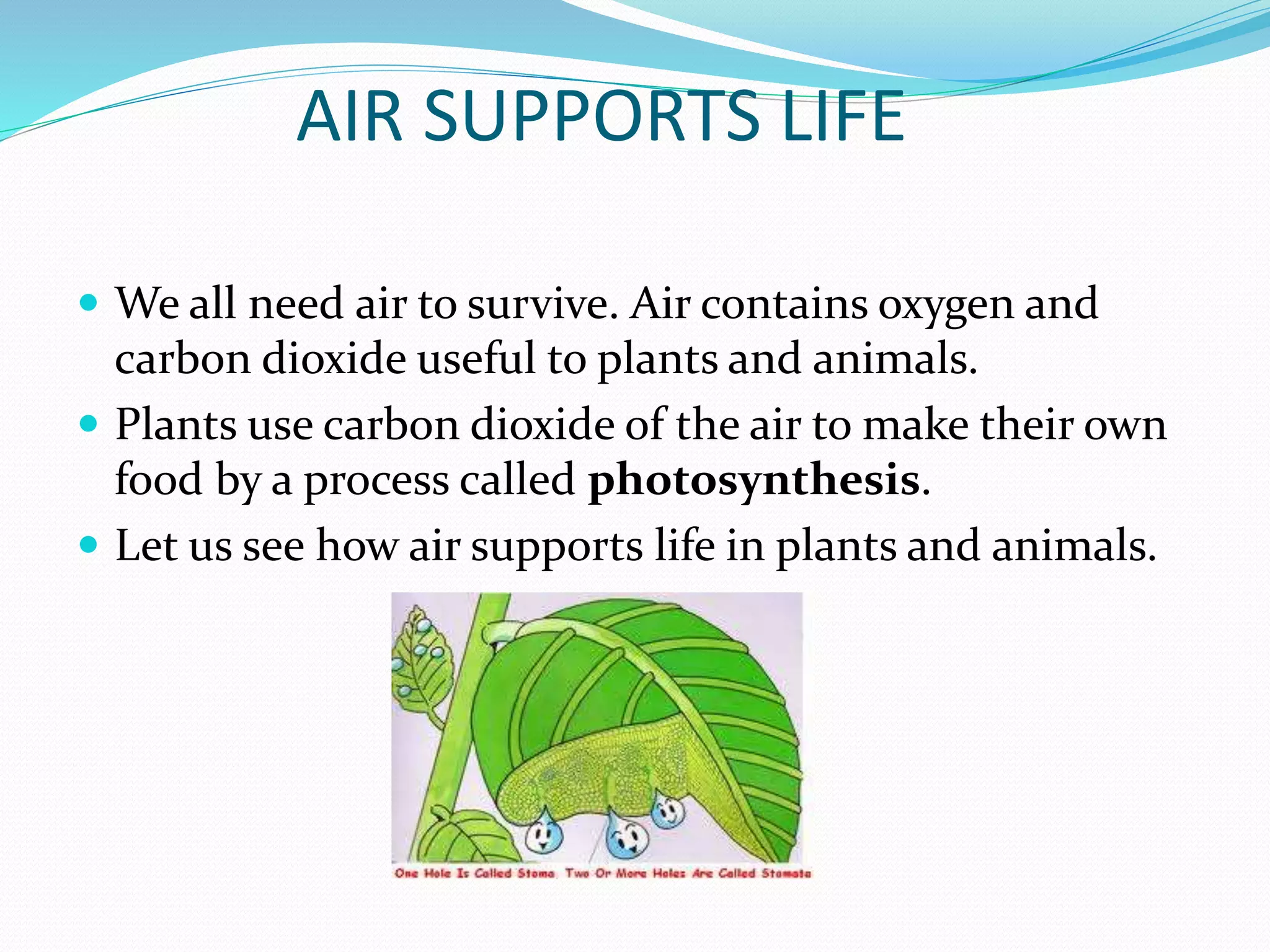 Air around us | PPTX