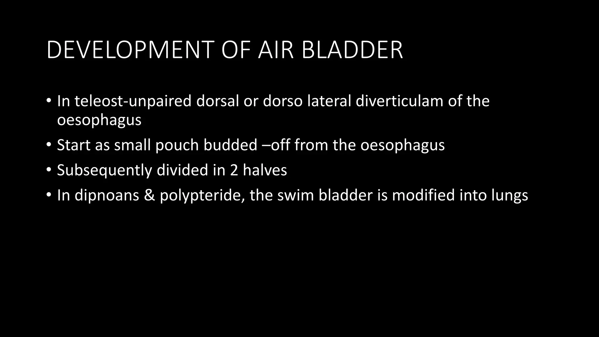 AIR BLADDER-FUNCTIONS.pptx