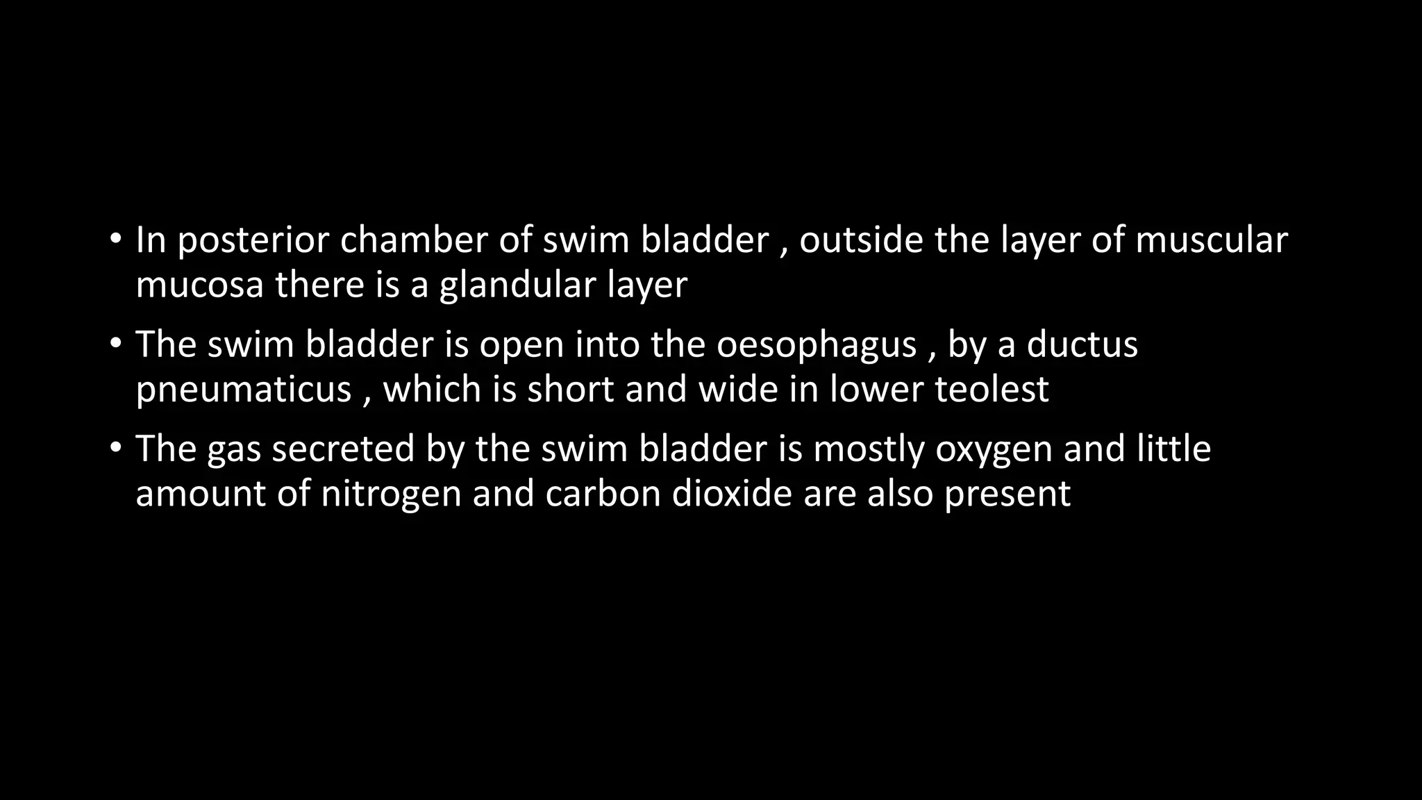 AIR BLADDER-FUNCTIONS.pptx