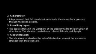 AIR BLADDER-FUNCTIONS.pptx