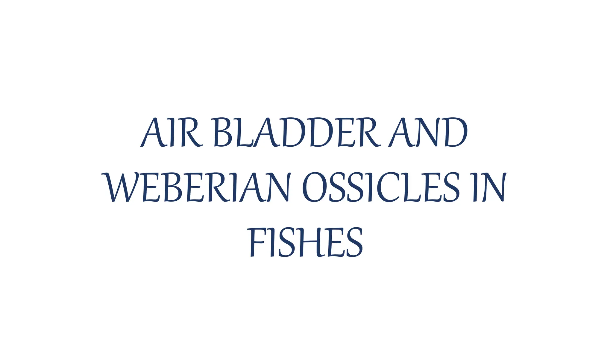 Air bladder and weberian ossicles of fishes.pptx