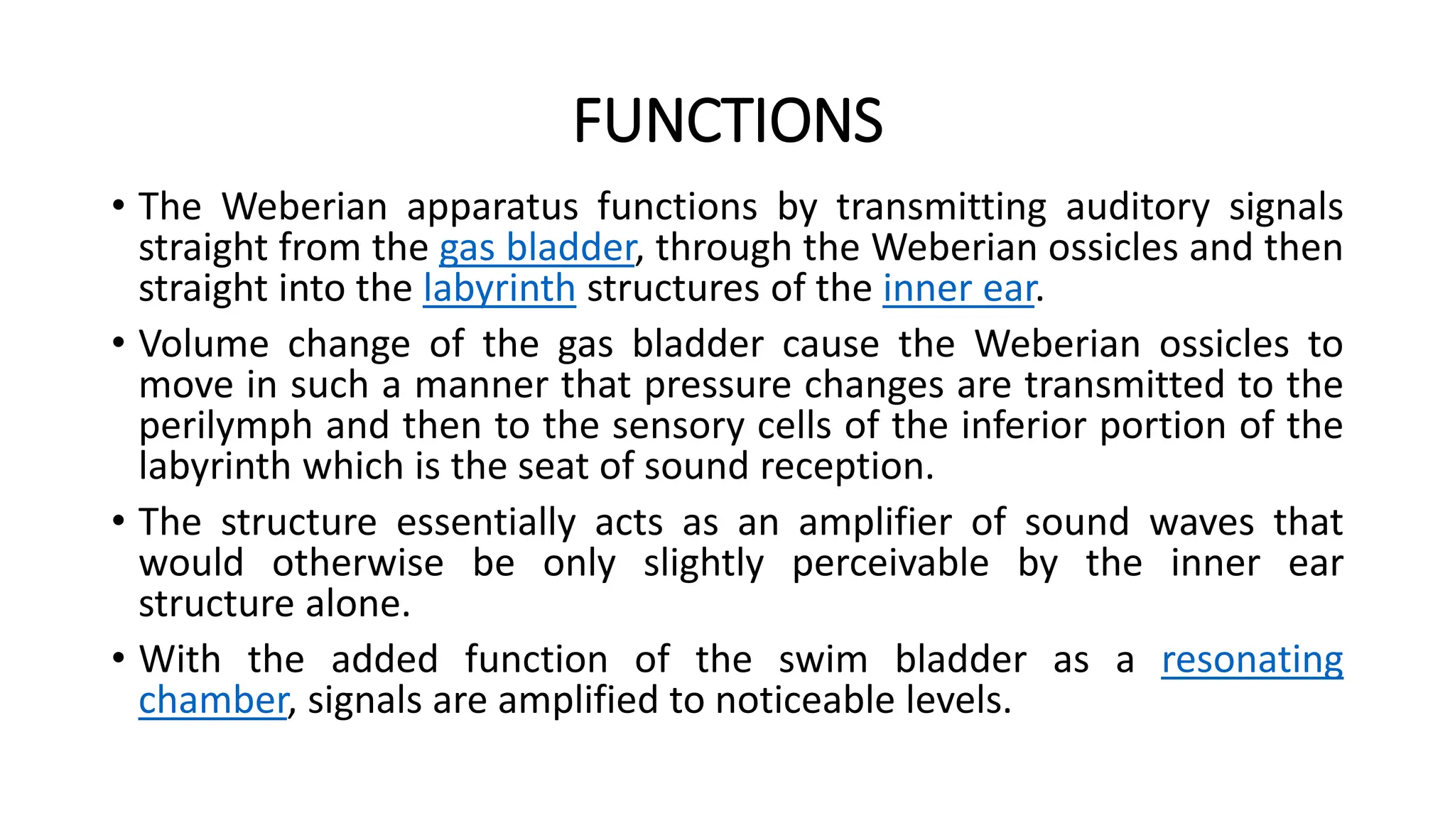 Air bladder and weberian ossicles of fishes.pptx