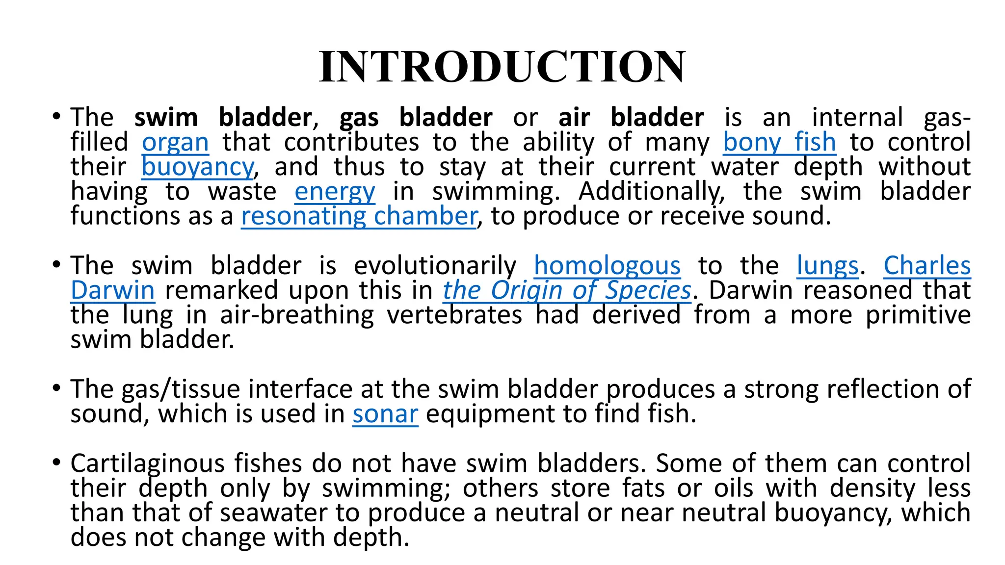 Air bladder and weberian ossicles of fishes.pptx