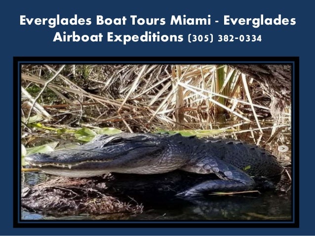 Miami Everglades Tours | PPTX