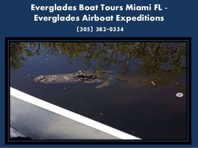 Miami Everglades Tours | PPTX